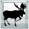 Moose – Vinyl Craft Decals